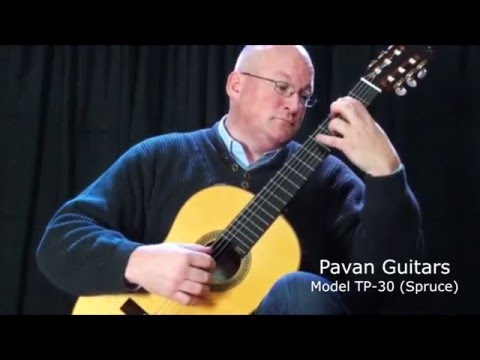 Pavan TP-30-64AC 2007, Cutaway Classical-Electric Guitar, | Reverb
