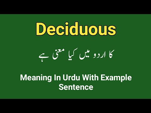 Deciduous meaning in urdu/hindi || Meaning of deciduous || deciduous pronunciation