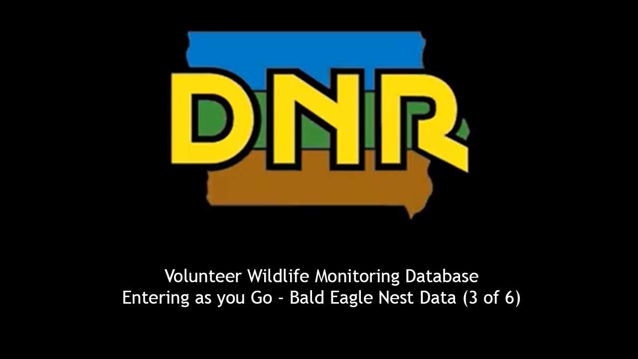 Volunteer Wildlife Monitoring Database - Bald Eagle Data (3 of 6), Iowa DNR