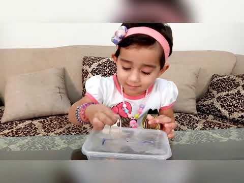 4 sensory activities for 2 year old baby/indoor activities near me