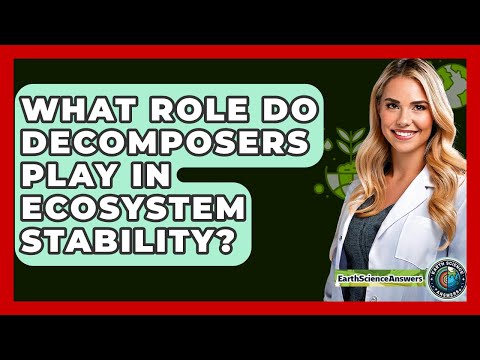 What Role Do Decomposers Play In Ecosystem Stability? - Earth Science Answers