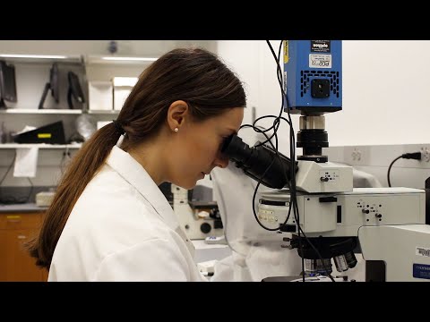 Cornell Engineering: Explore Environmental Engineering