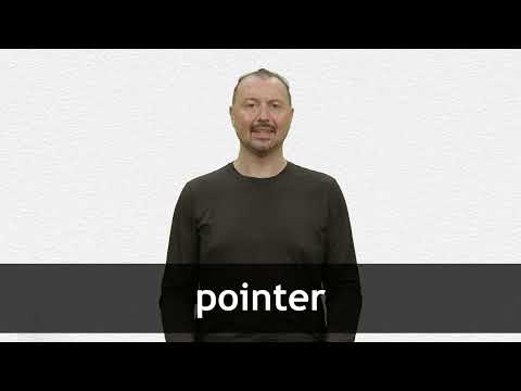 English Translation of “POINTER” | Collins French-English Dictionary
