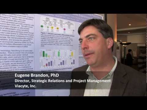 JDRF supports CIRM diabetes disease team led by ViaCyte | The Stem Cellar