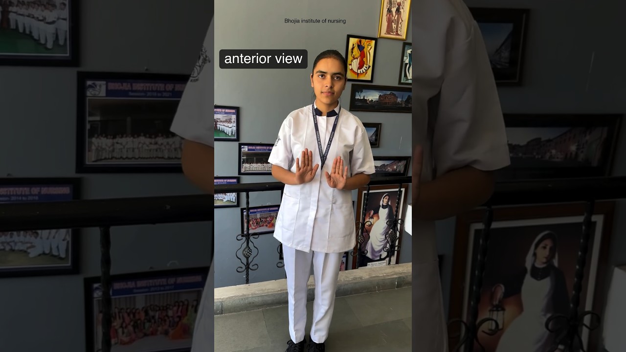 BASIC ANATOMICAL MOVEMENTS☝🏻 follow for more videos and information