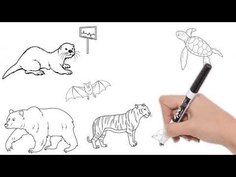 Adaptations. Short Simple Science
