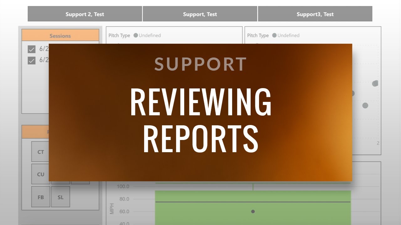 Support: Reviewing reports