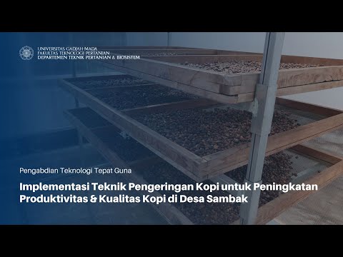 Implementasi Teknik Pengeringan Kopi untuk Peningkatan Produktivitas & Kualitas Kopi di Sambak