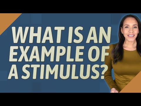 What is an example of a stimulus?