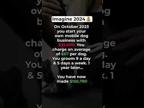 Mobile Dog Grooming Business Idea - Imagine 2024