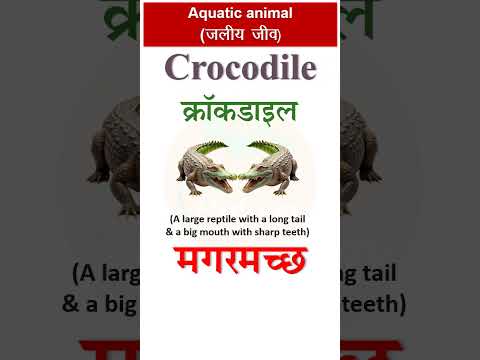 CROCODILE | मगरमच्छ का अंग्रेजी | Pronunciation & meaning of Crocodile | English words | #shorts