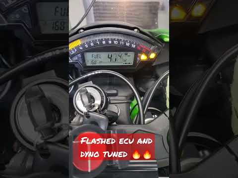 2019 Kawasaki ZX10R in for an ECU Flash and dyno tune! Can you hear the differences??