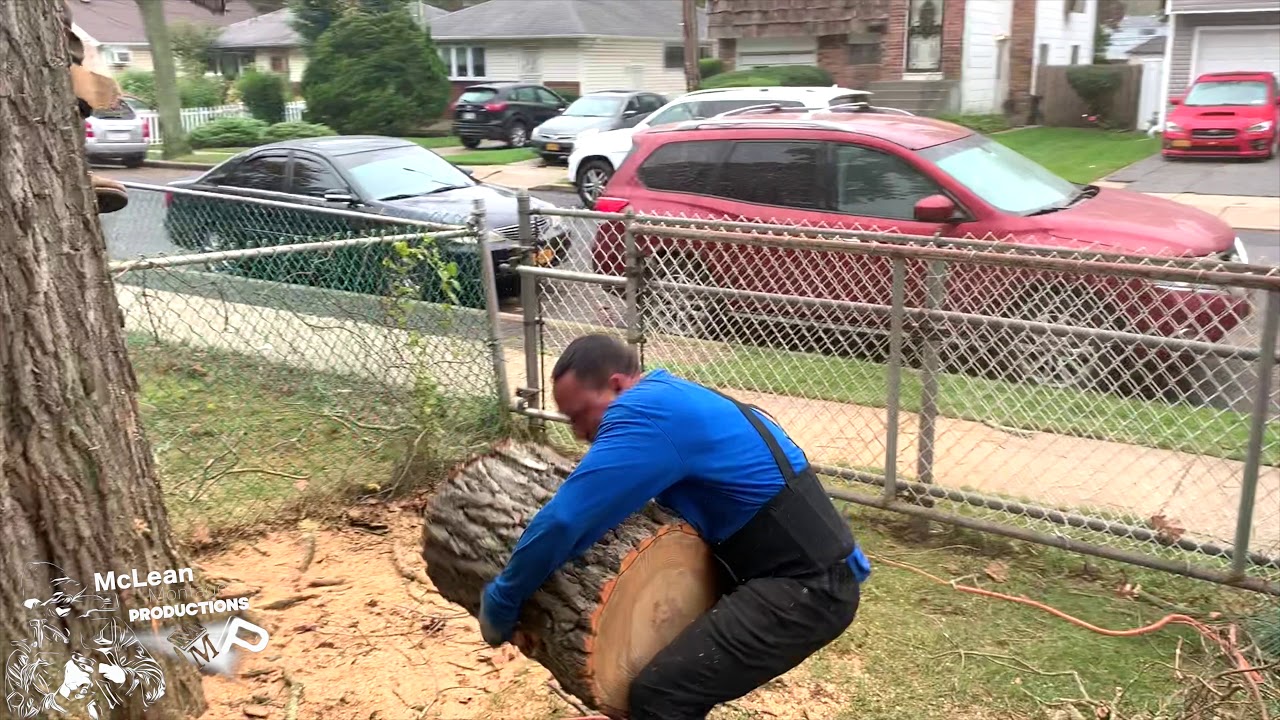 TREE REMOVAL MC Tree Service