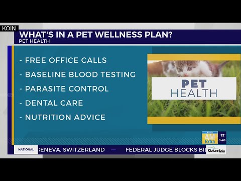 Why get a pet wellness plan?