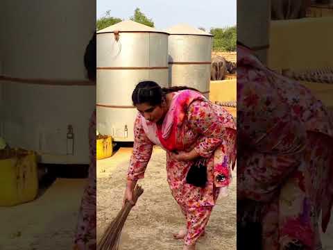 Mein ty mera dilbar jani๐ #Aliza #AlizaSehar #villagelifestyleailzasehar #desilifestyle #village