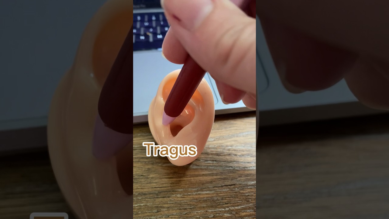 Learn the Parts of the Outer Ear in Just 15 Seconds! | Ear Anatomy