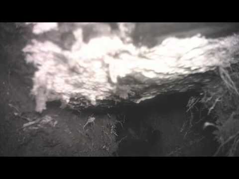 VIDEO VISION IN THE TUNNEL