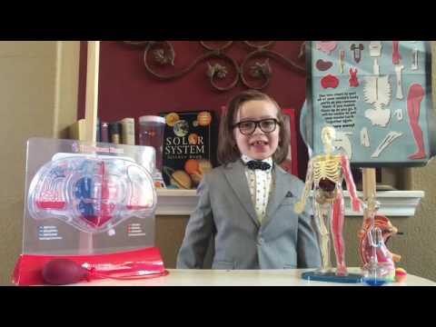 Immune system for kids
