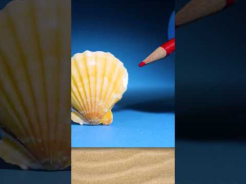 Scallops Have 200 Eyes