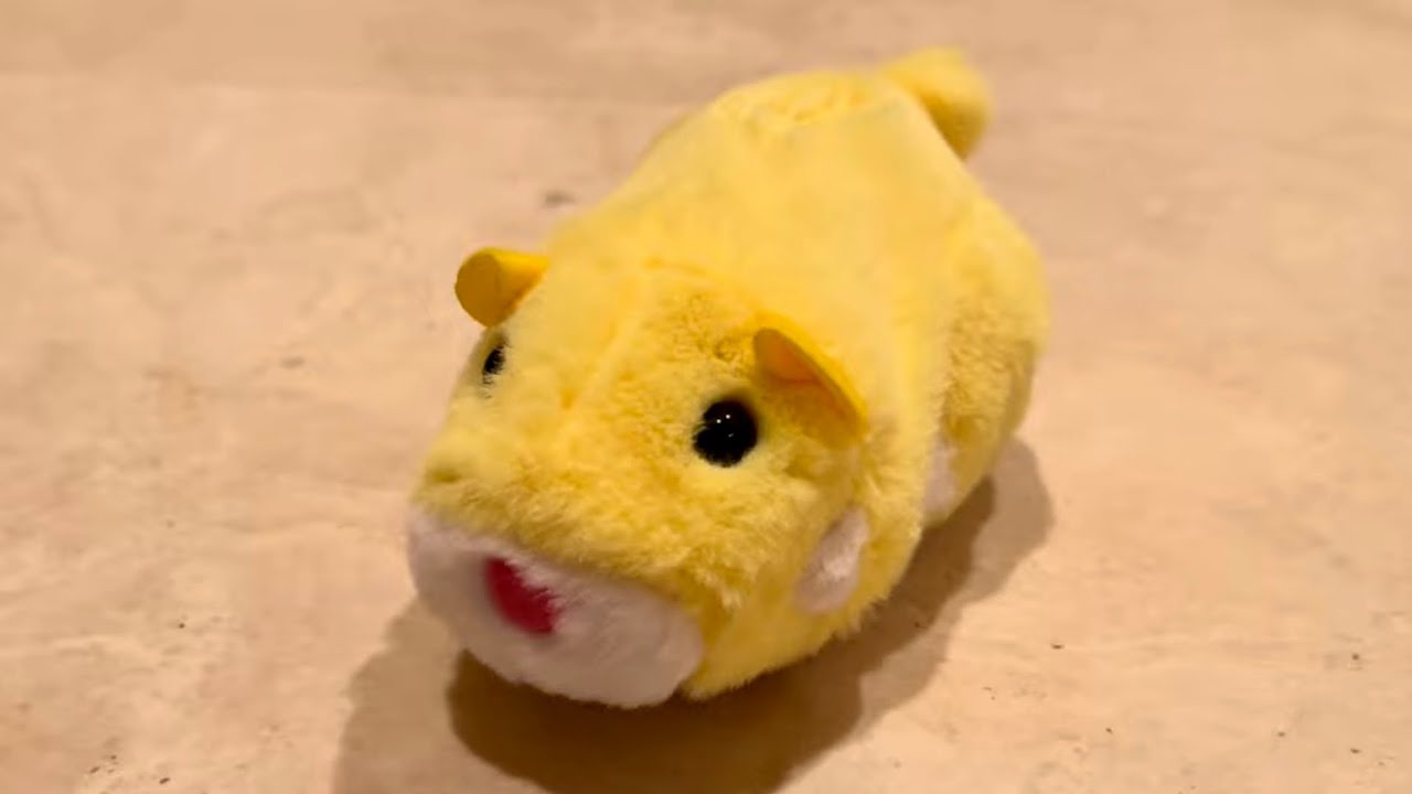 Zhu Zhu Pets | Zhu Zhu City Hamster (2025) | Pipsqueak