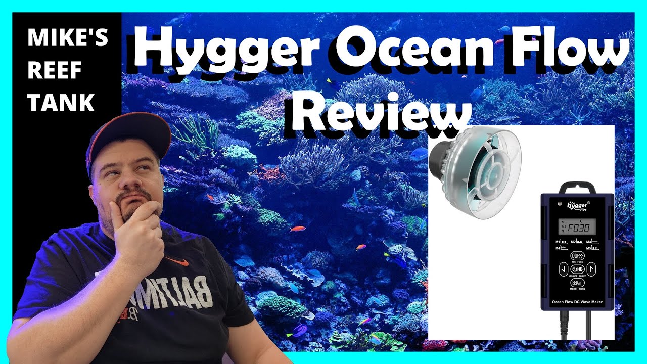 Hygger Ocean Flow DC Wave Maker Review- Powerful, Quiet, and Smart Flow Control!