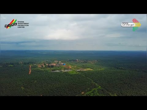 Watch How This Company Manufactures Palm Oil in Ghana