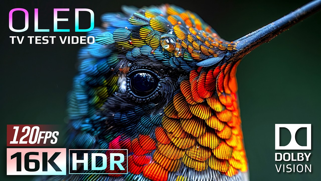 Experience 16K HDR Dolby Vision 120fps | Breathtaking Nature OLED Demo (For 8K/4K TV)
