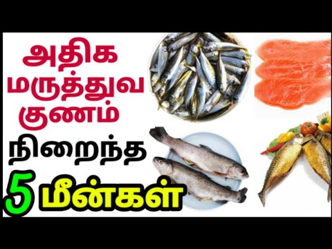 மருத்துவ குணம் நிறைந்த மீன்கள்| Top 5 healthy fishes in tamil