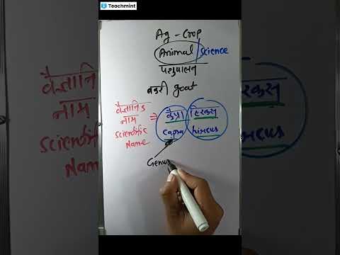 PAT क्या है ? ! What' is PAT ! full details of PAT ! Career Guidance ! mppat 2025