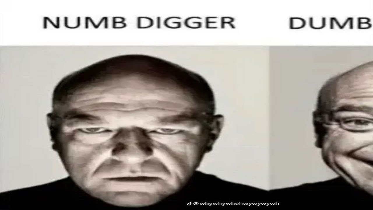 Shitpost compilation 12