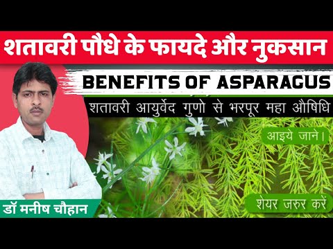 शतावरी के फायदे | Benefits of Asparagus in Hindi | डॉ. मनीष कुमार चौहान