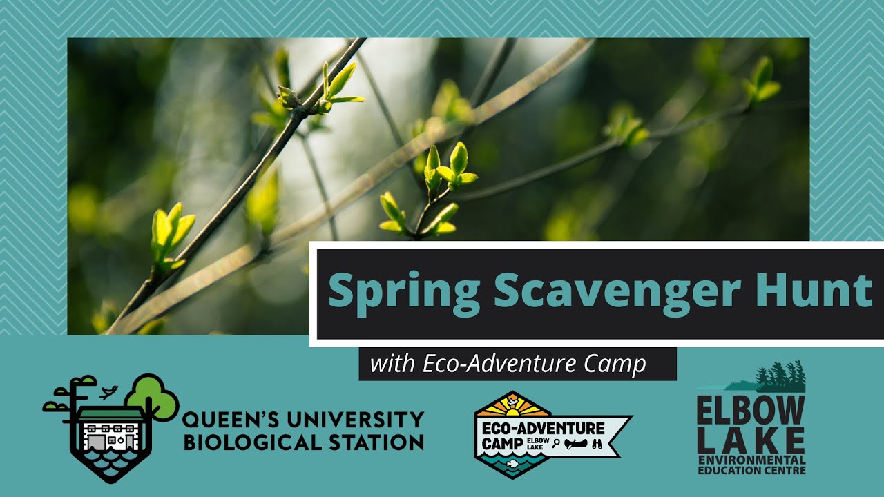 Spring Scavenger Hunt Family Activity- Elbow Lake EEC