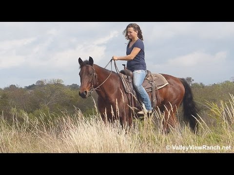 Alena Dream - trail riding - Valley View Ranch