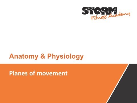 Planes of movement