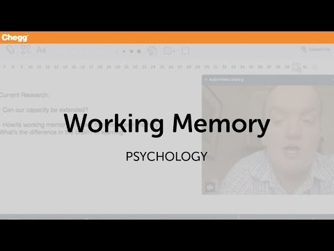 Definition of Working Memory | Chegg.com