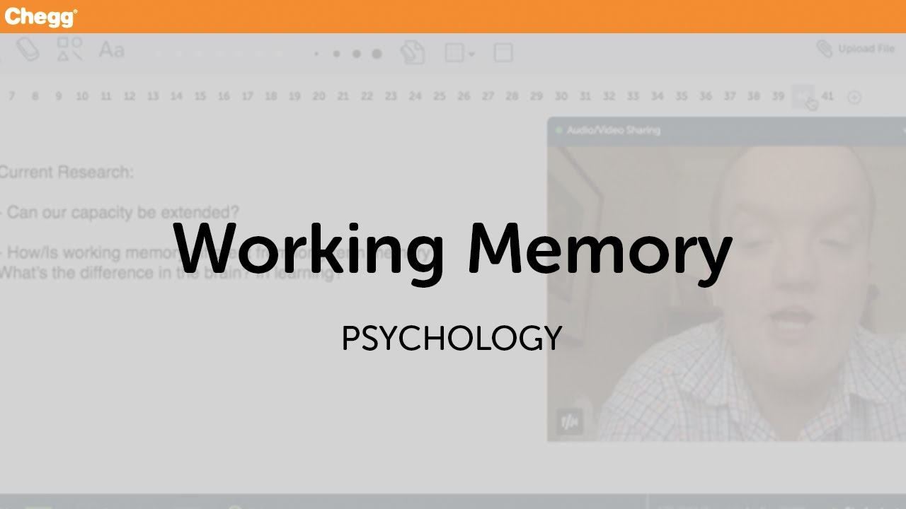Working Memory | Psychology | Chegg Tutors