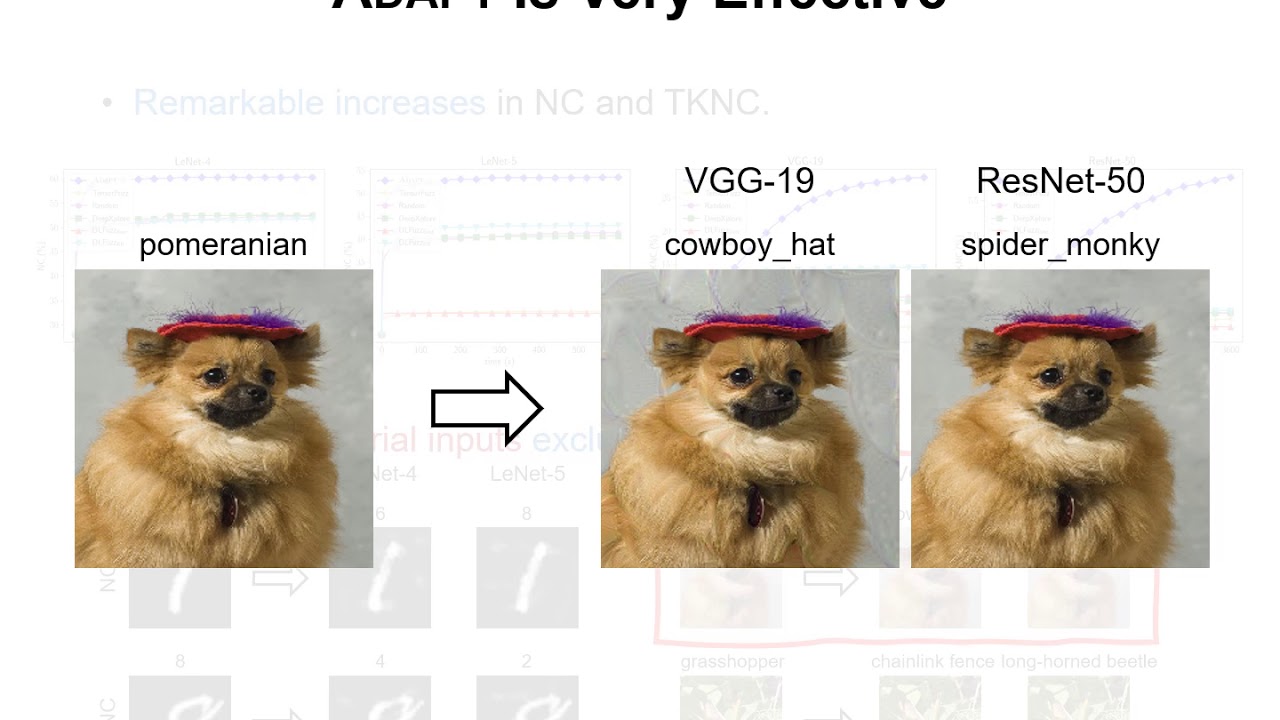 Effective White-Box Testing of Deep Neural Networks with Adaptive Neuron Selection Strategy