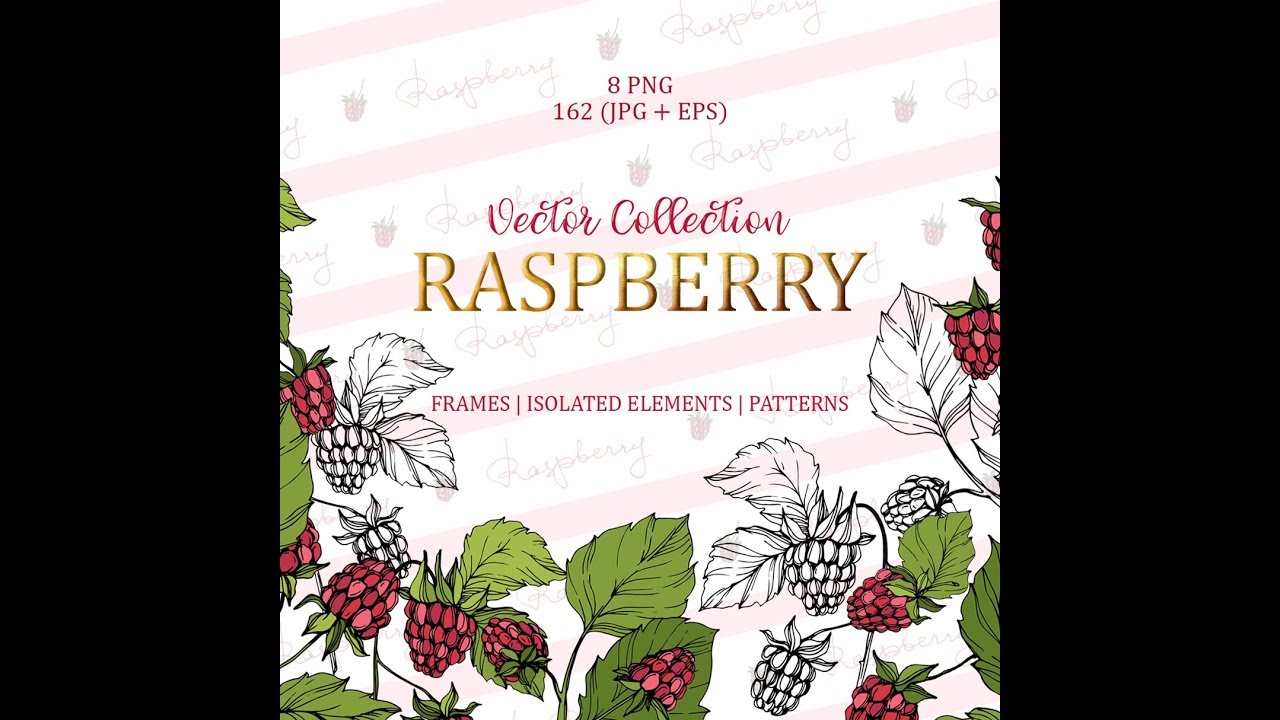 Raspberry Vector Collection