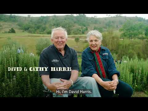 Rosemary Picking at Harris Farm with Legacy Australia for ANZAC Day