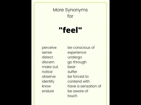 Improve Your Vocabulary | Synonyms for the word FEEL #vocabulary #synonymswords #shortsfeed #english