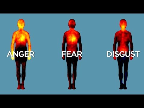 Science Bulletins: Mapping Emotions in the Body