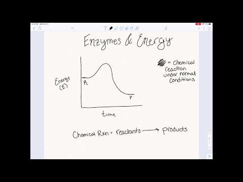 Enzymes Part 5: Energy Diagram