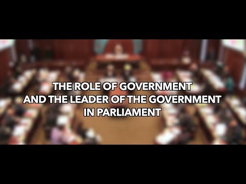 The Role of Government and the Leader of the Government in Parliament