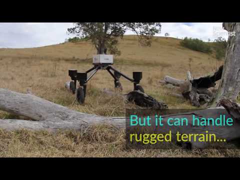 Meet SwagBot: The Four-Wheeled Robot Cowboy