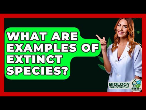 What Are Examples Of Extinct Species? - Biology For Everyone