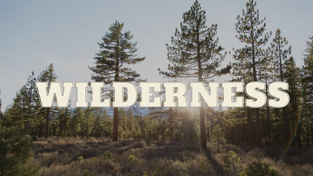 Timberwolf Legends Wilderness