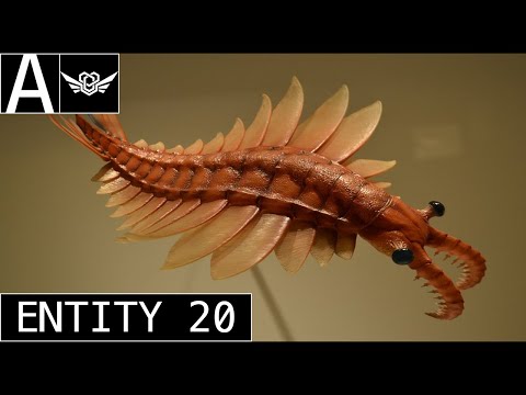 Entity 20 "Scits" [Backrooms Wikidot]