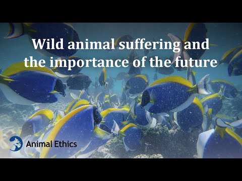 Wild animal suffering and the importance of the future