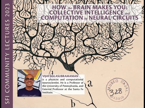 How the Brain Makes You: Collective Intelligence and Computation by ...