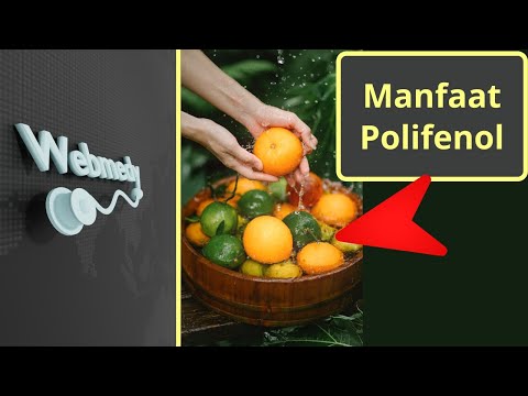 Apa itu Polifenol? | Manfaat Kesehatan dari Polifenol